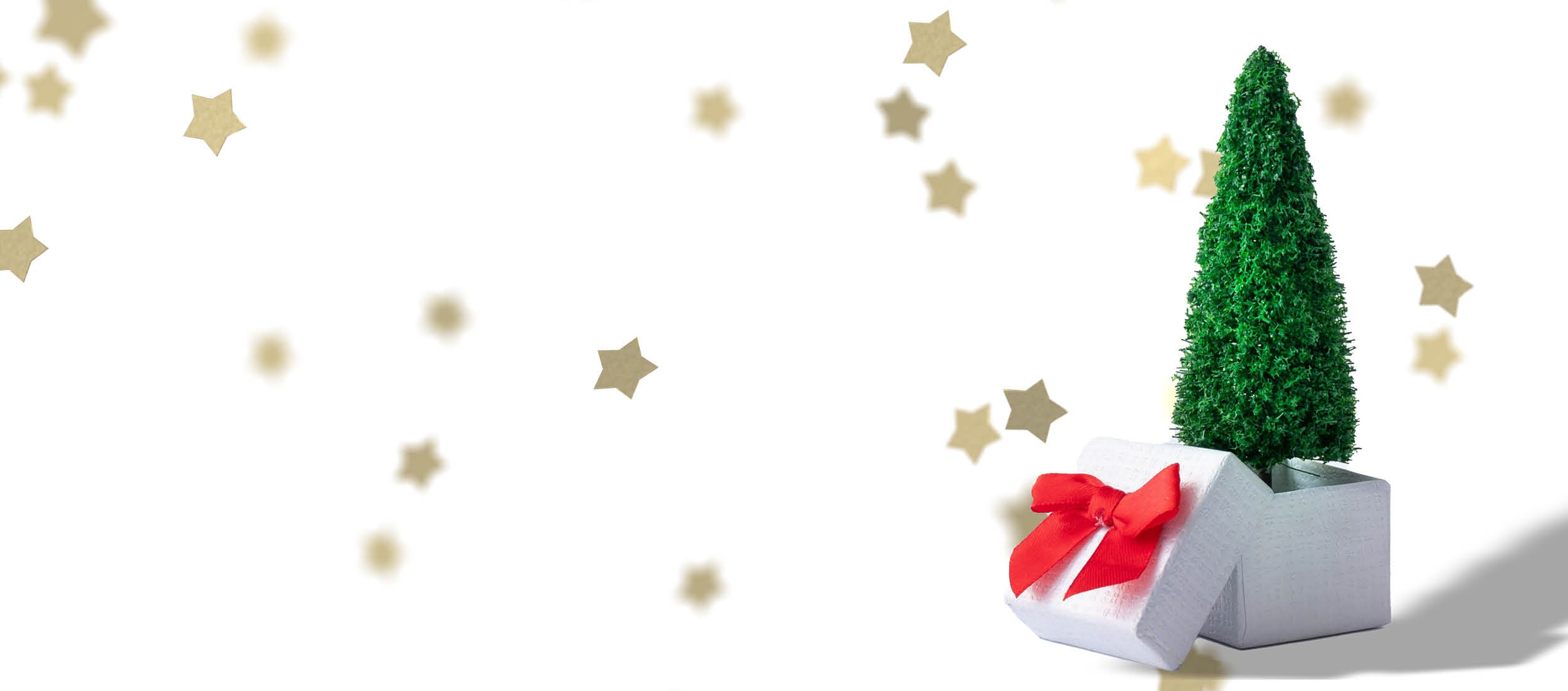Kerstvakantie! - Rode Dorp Alphen